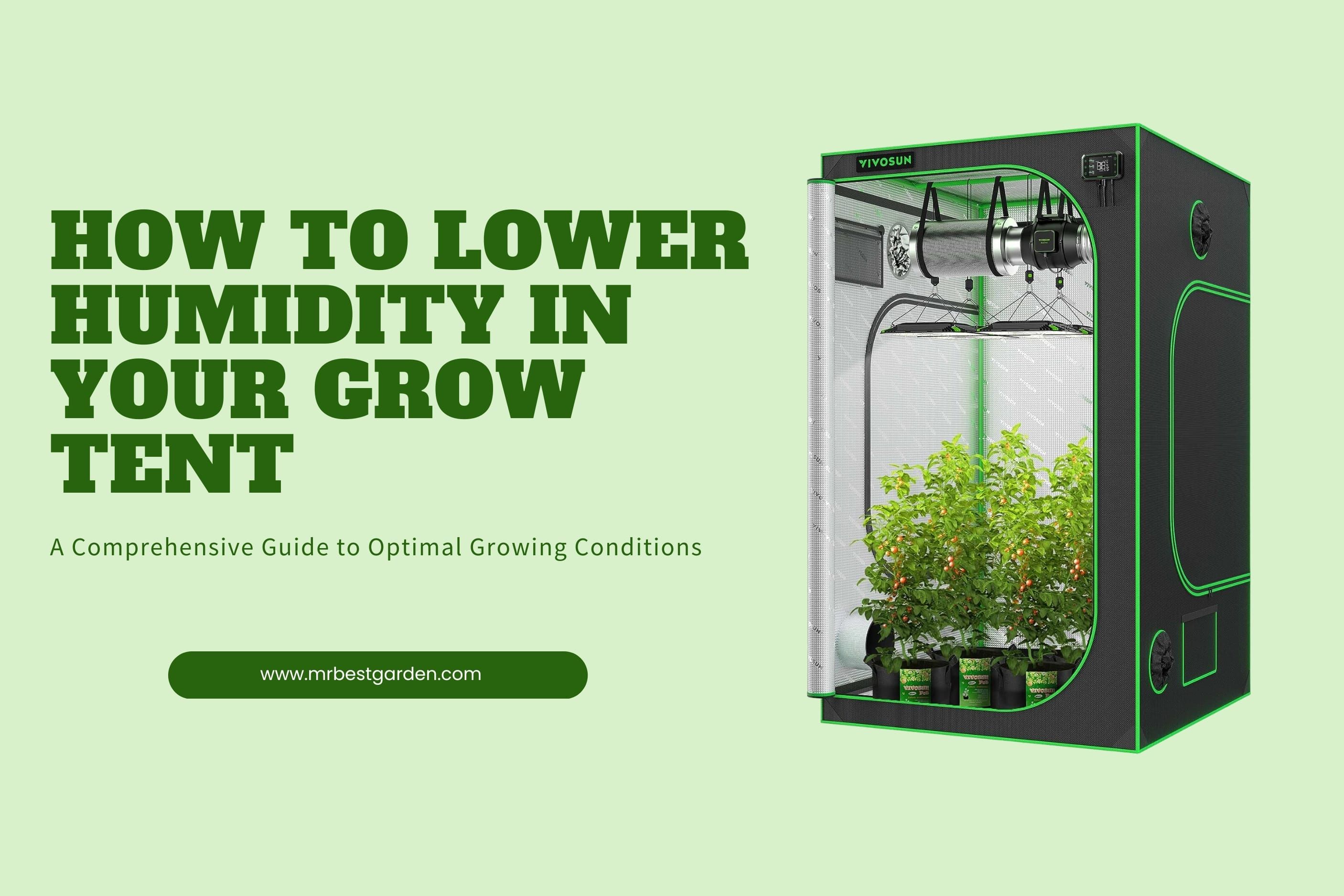 Grow Tent Humidity Too Low at Ralph Halladay blog